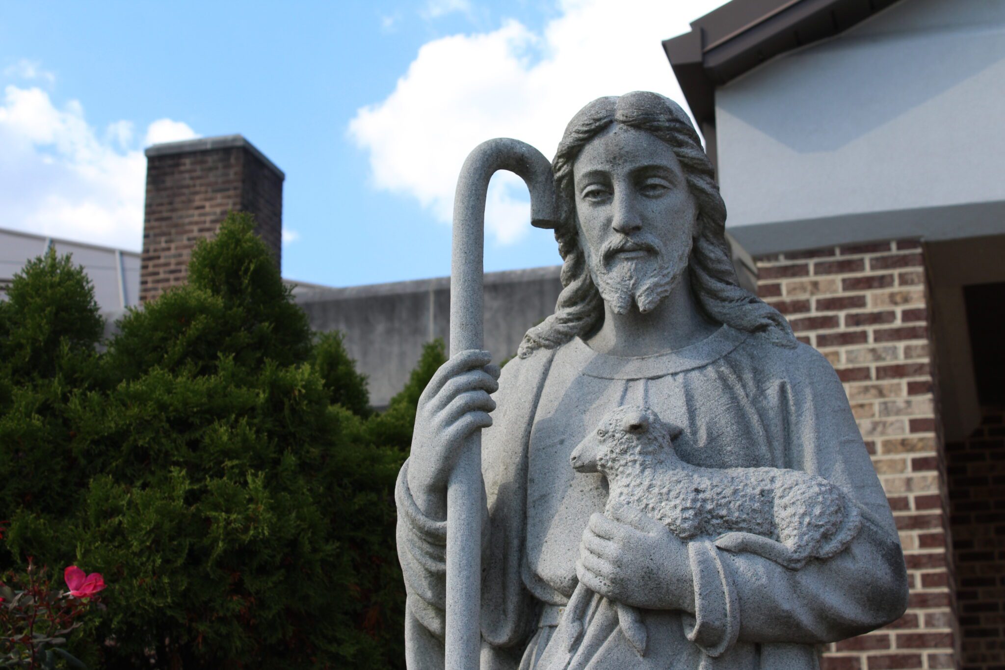 Second Sunday in Ordinary Time, Cycle A – Good Shepherd